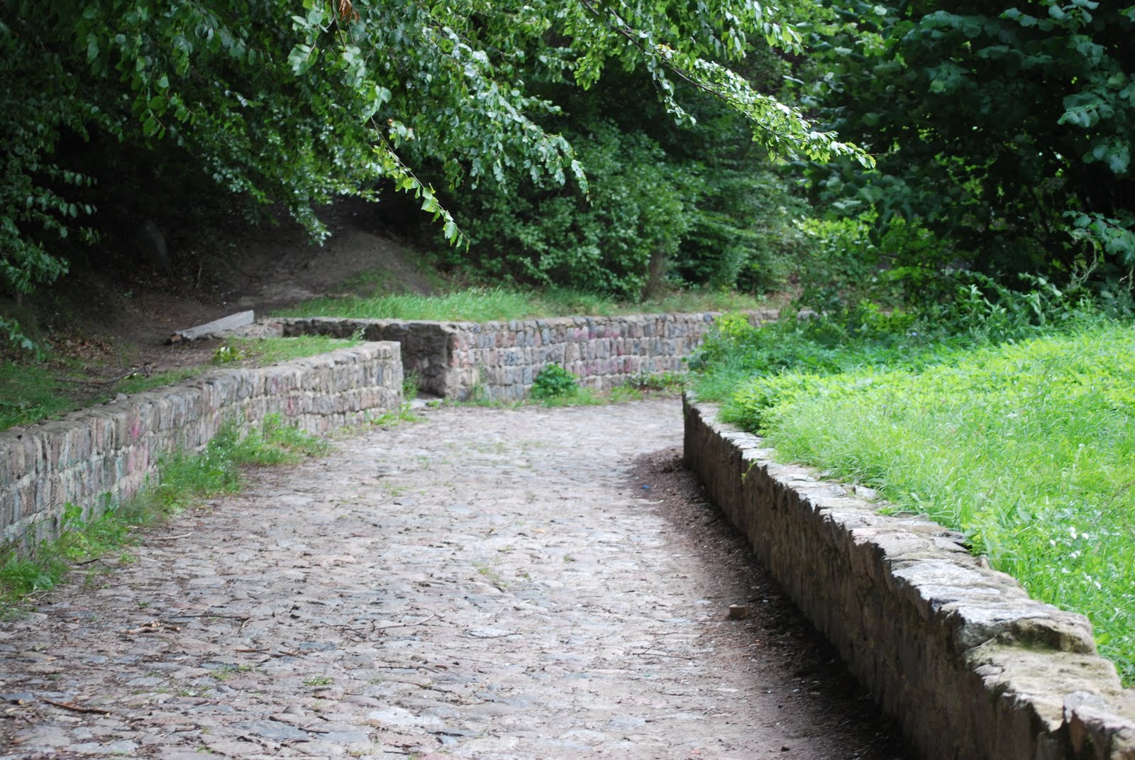 Emisia: Kacze Łęgi w Gdyni