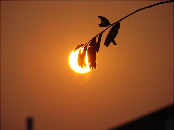 MOVIMIENTO DE ILUMINACION ESPIRITUAL