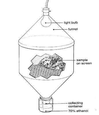 Afraid of tree: Entomology: Types of Insects Traps