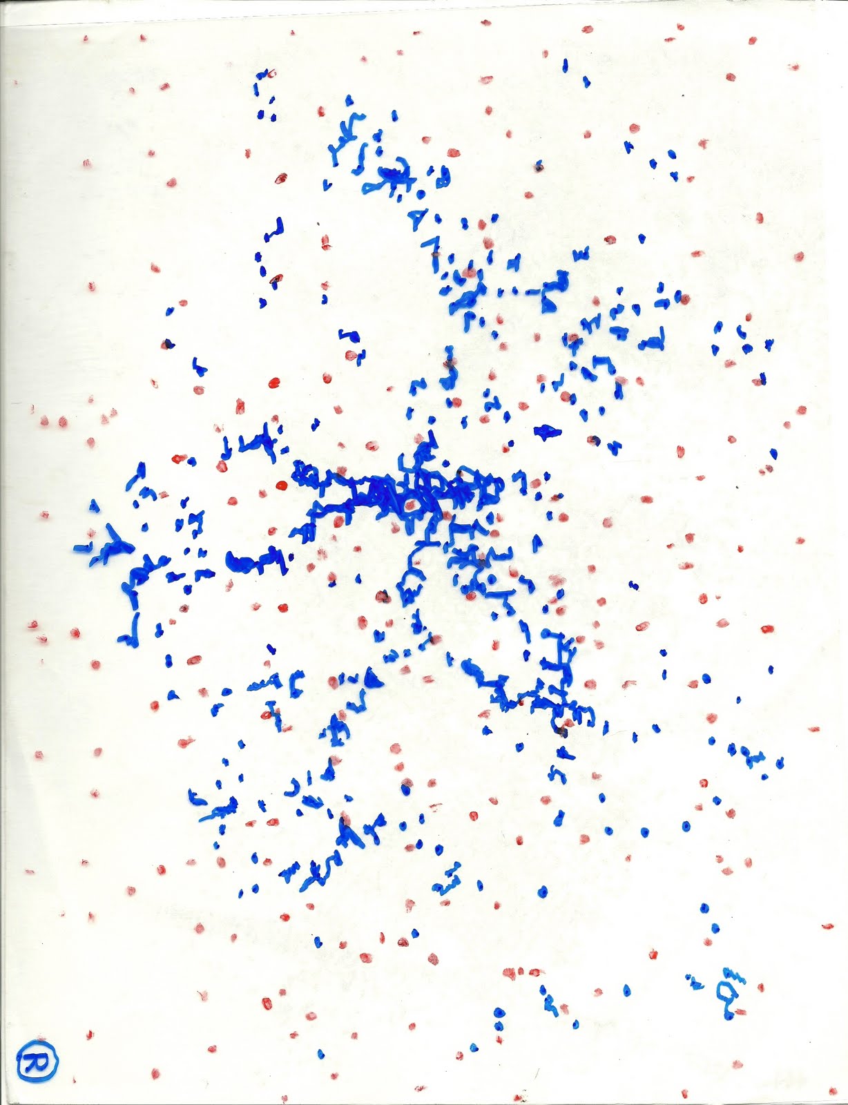 Seeing Images of God: More "Cosmic Stickman" and the Shroud