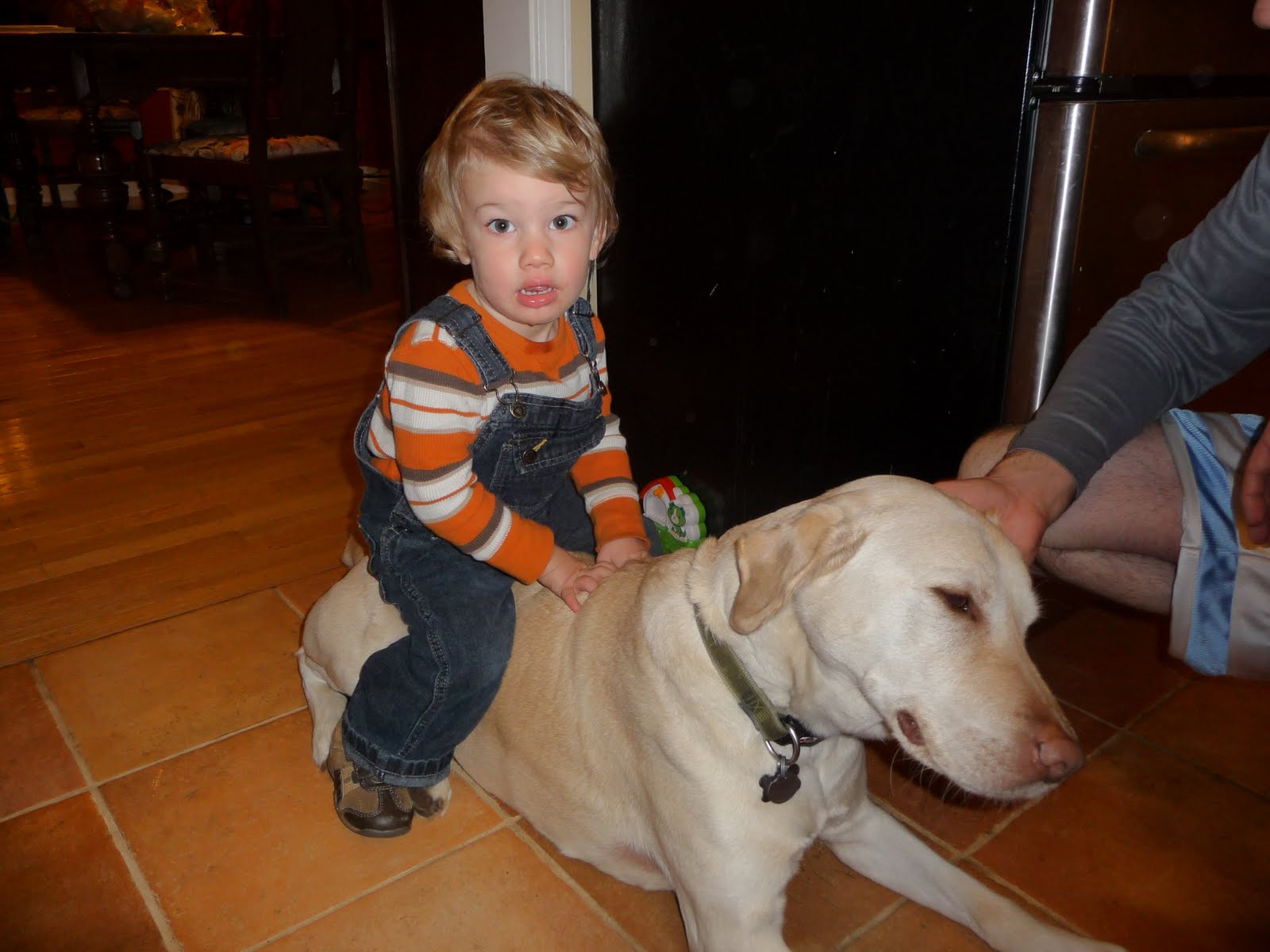 Tanyon Miller: Dog Riding