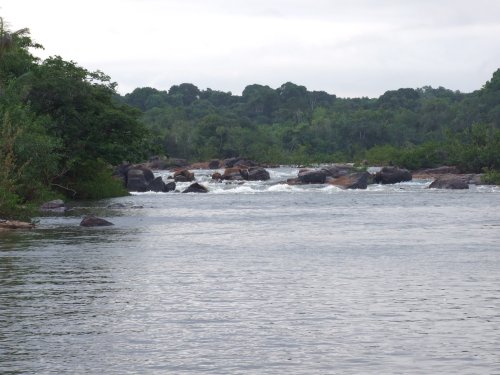 FeL-V da brand...: Essequibo River - Guyana