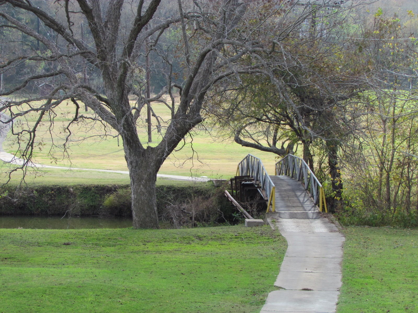 Minnesota Road Runners: Pictures from Lockhart State Park, Lockhart Texas