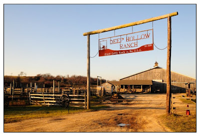 Saltydog Photography