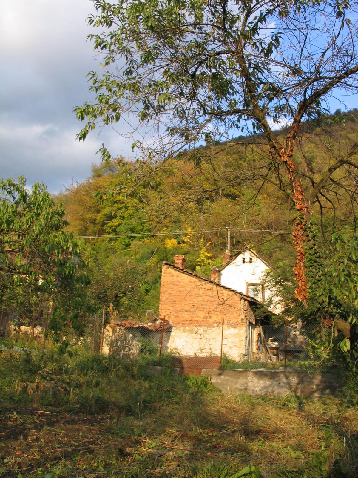 toplet: casele din toplet