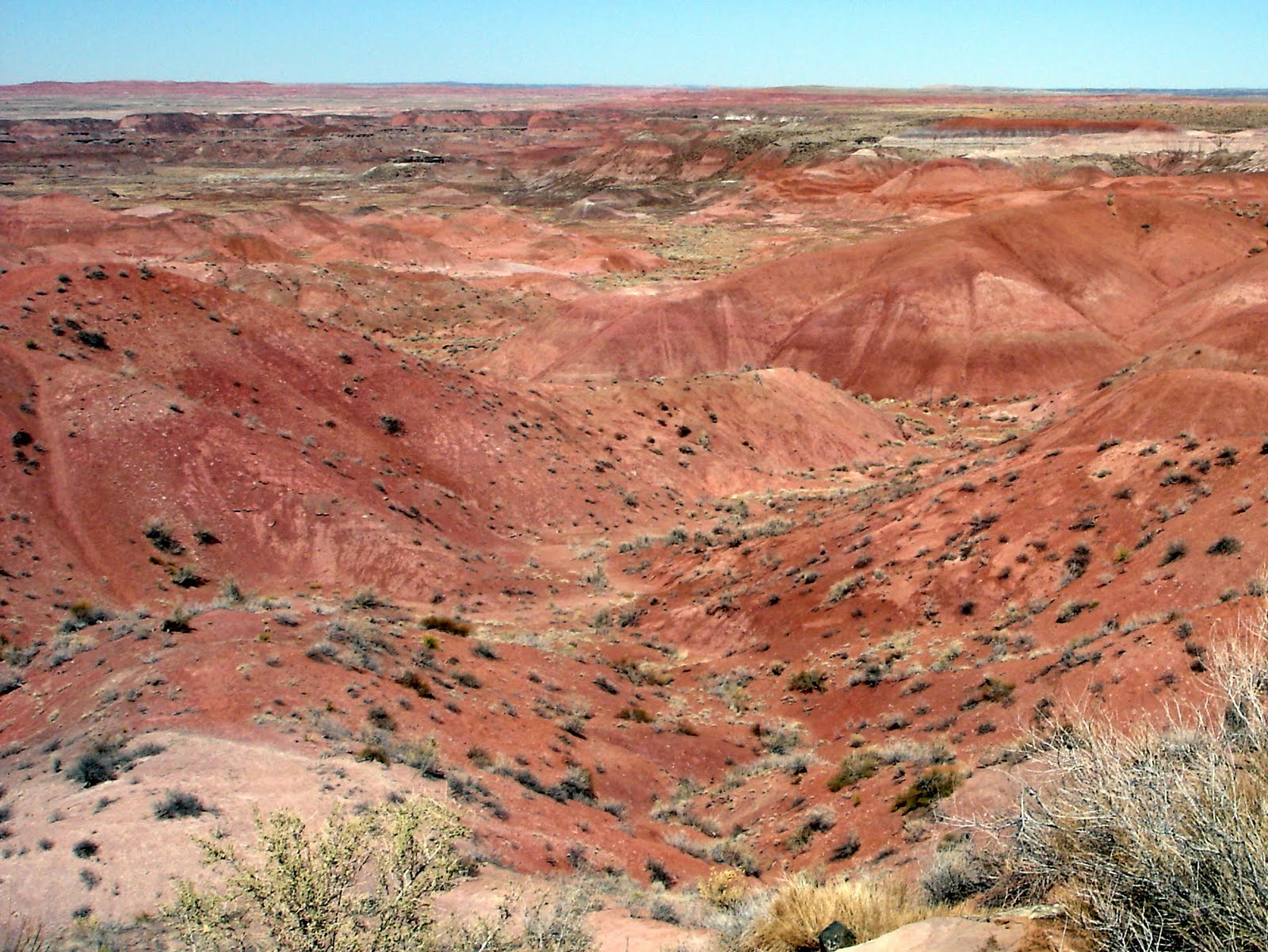 The Haley Hiatus: Arizona: The Painted Desert and the Petrified Forest ...