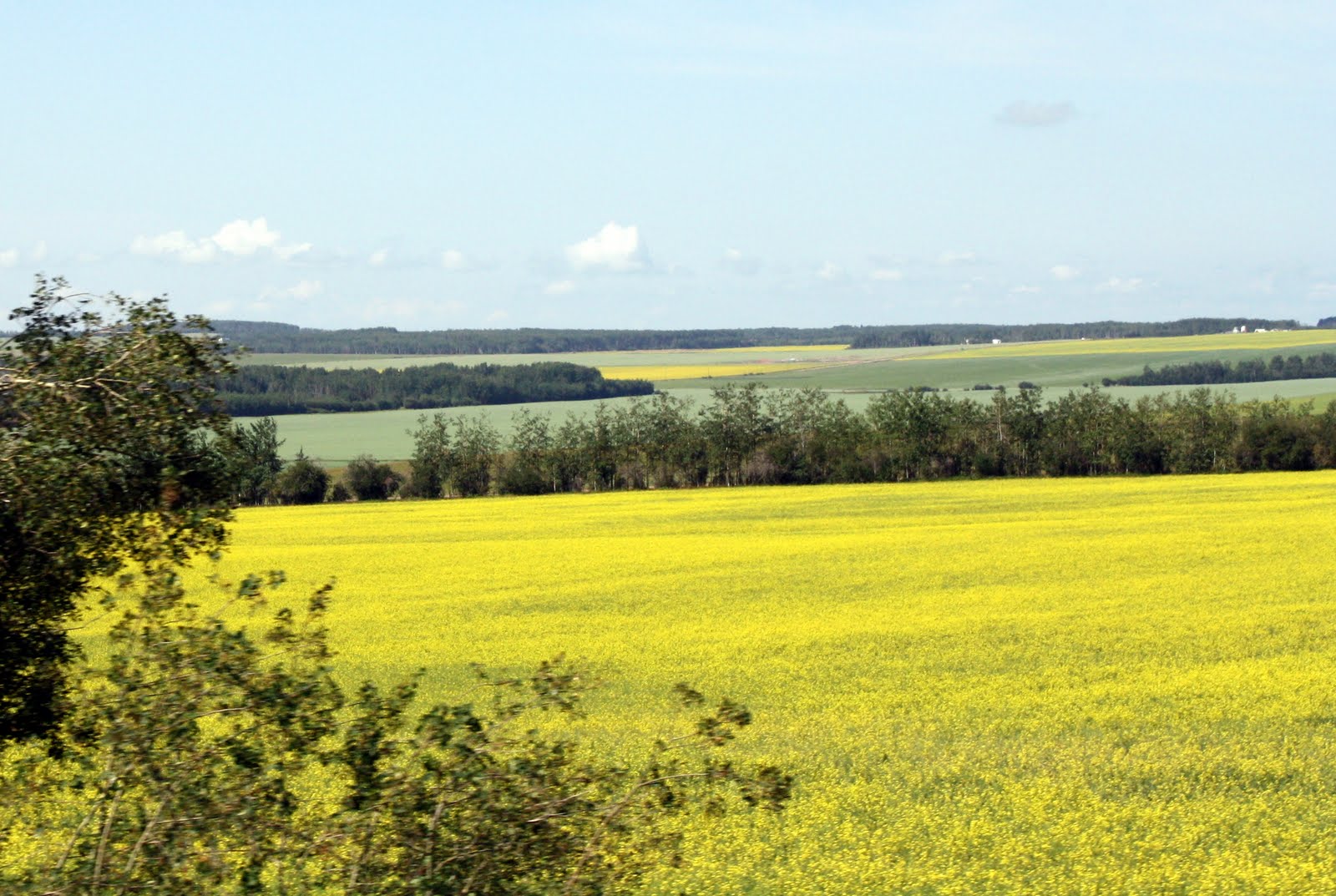 The Haley Hiatus: Charlie Lake, British Columbia to Red Deer, Alberta