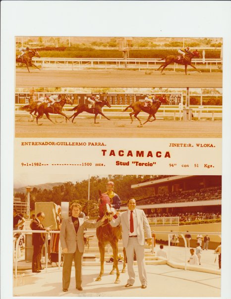 VIDEOS Y FOTOS DE R.WLOKA: Hipismo Venezolano, Hipismo Con Sentimiento I