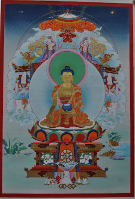 a little kyurii a day