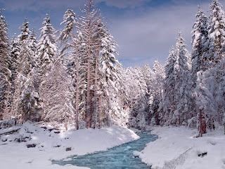 Best Plus Best: HD Beautiful Natural Scenario Wallpapers [1600X1200 ...