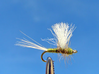 Fly Currents Fishing Report and News: Pre-Run Off And March Fly ...