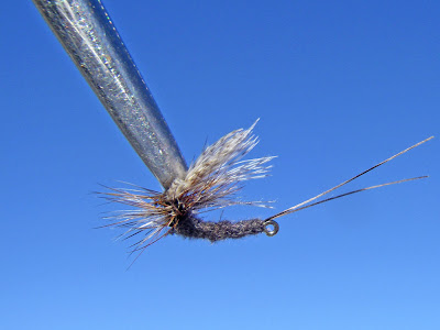 Fly Currents Fishing Report and News: New Fly Patterns