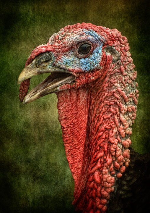 Dan Routh Photography: November 2010