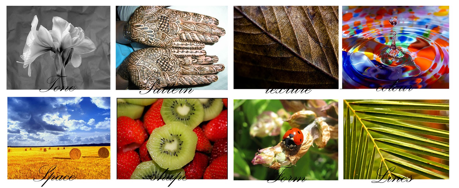 Chloezinha: Self portrait and visual elements