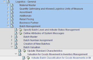 SAP MM Expert: Batch Management