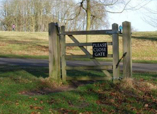 Most ironic signs of all time