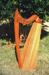 Celtic Spirte : The “Wisdom of The Woods”™ Oracle Deck Divination ...