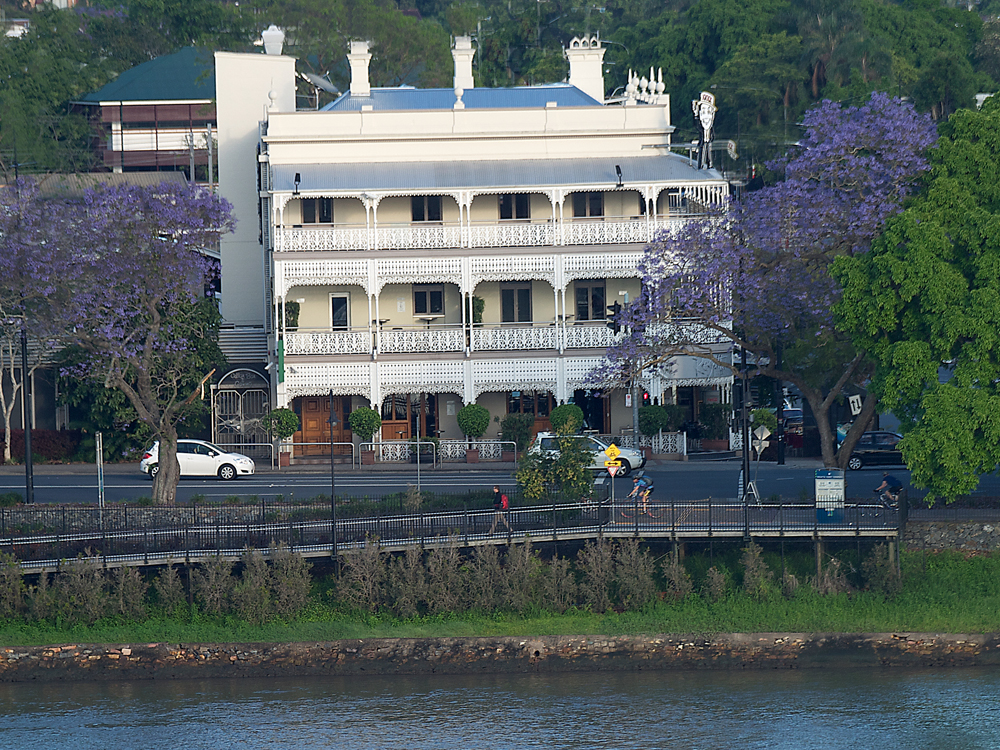 MaXs Orchid House: Jacaranda time at the Regatta Hotel