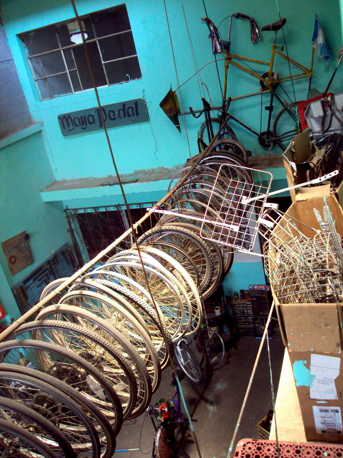 Southern Lights: The Life at Maya Pedal