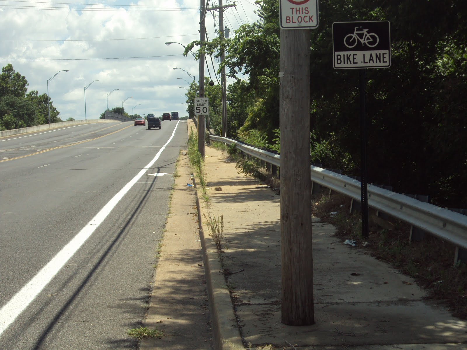 Southern Lights: Memphis Update: The Horn Lake Bike Lanes