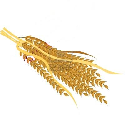 madre al borde: Navidad de flor de coco