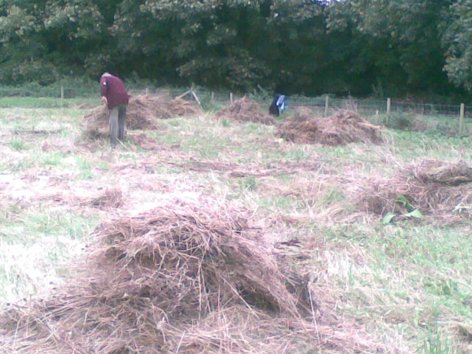 Gary's Way: Hay-Shocking Event