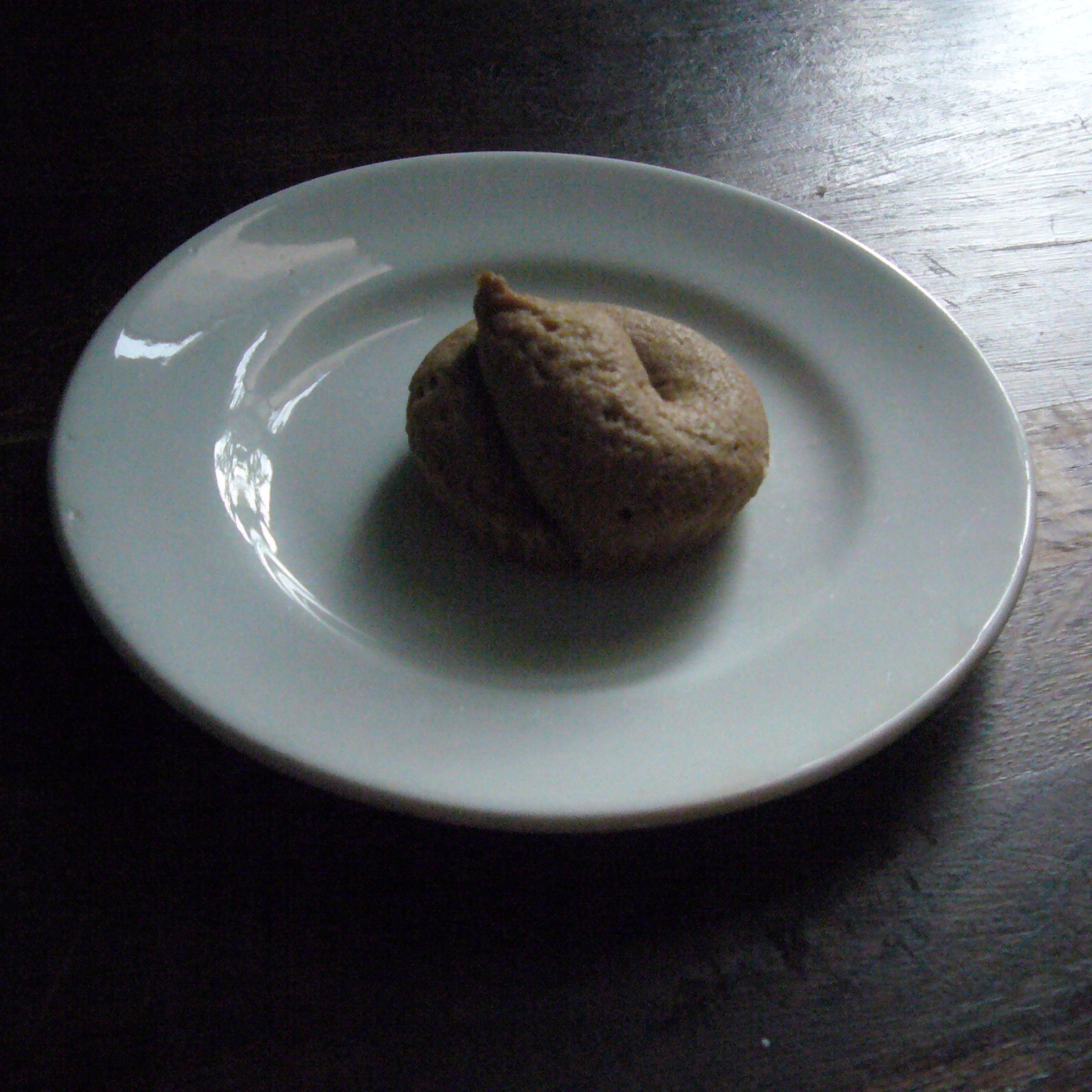 The Scribbling Wren: Poo Cakes for parties...