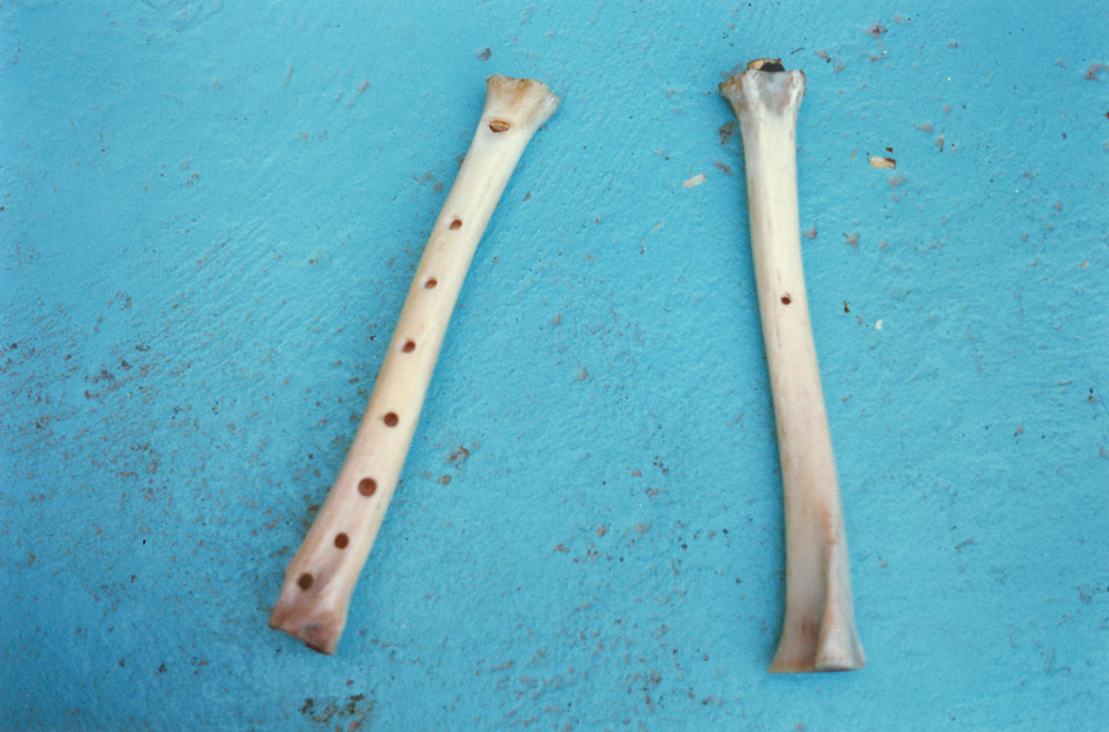 plenas: Instrumentos musicales de Plenas