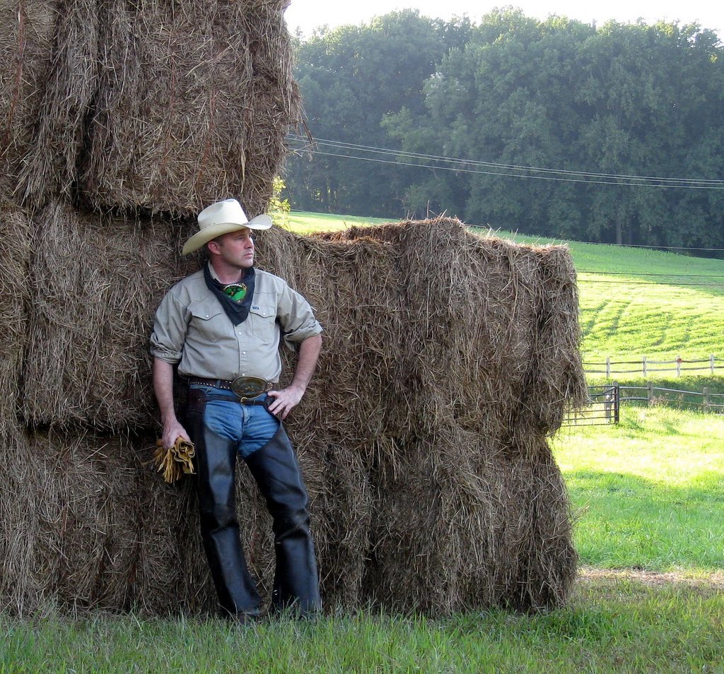 Ray's Cowboy: Role In The Hay, Anyone?