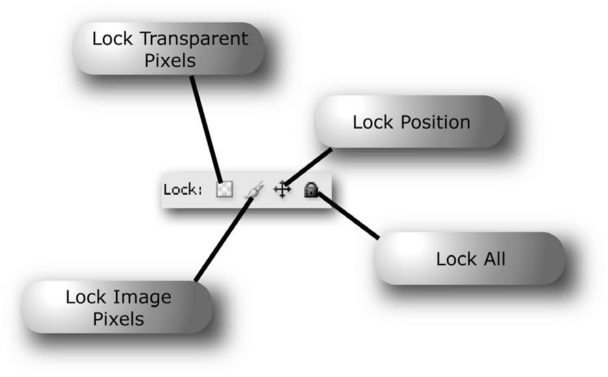 Adobe Tutorials: The Layers Palette
