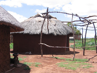 David in Swaziland: Swazi Houses