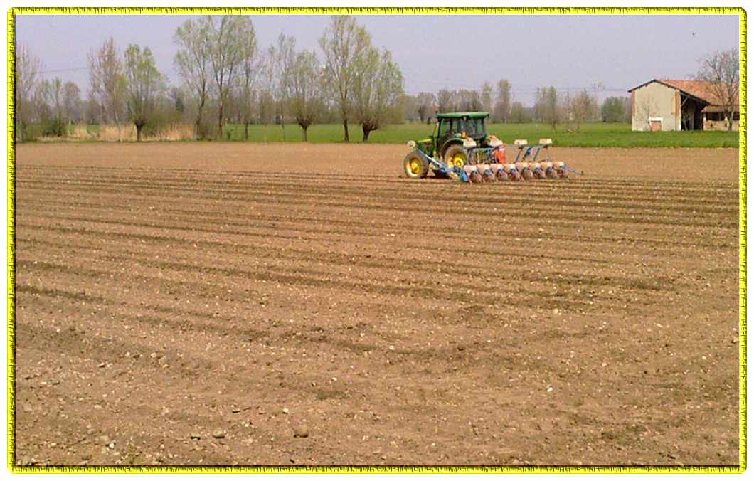 Cascina SCOVAZZA: la semina del mais