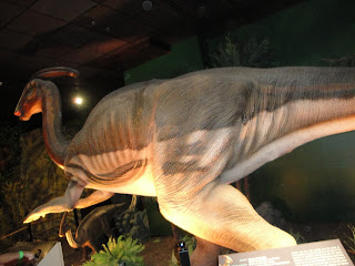 experiencia en san antonio tx: MUSEO WITTE ( SAN ANTONIO TEXAS )