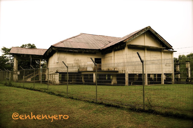 braggies: Matilda House