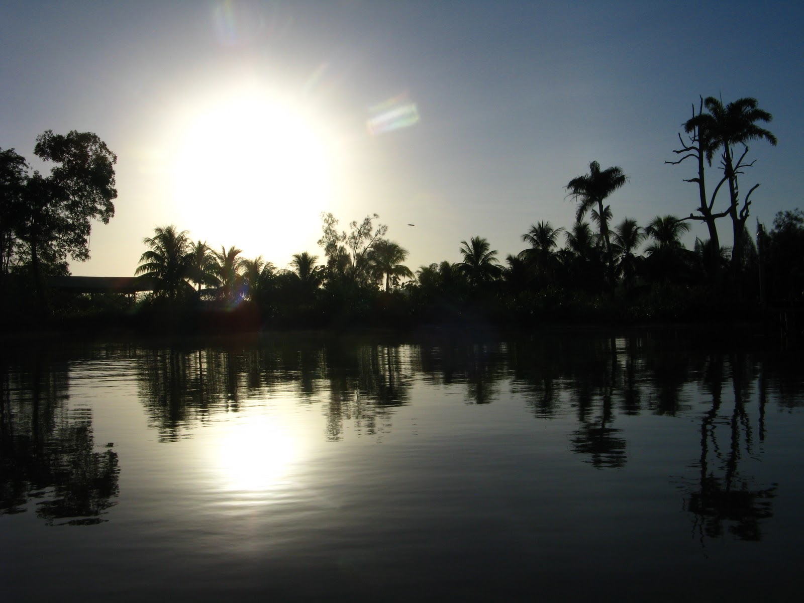 Suriname Green Tourism: Saturday Trip up the Commewijne River