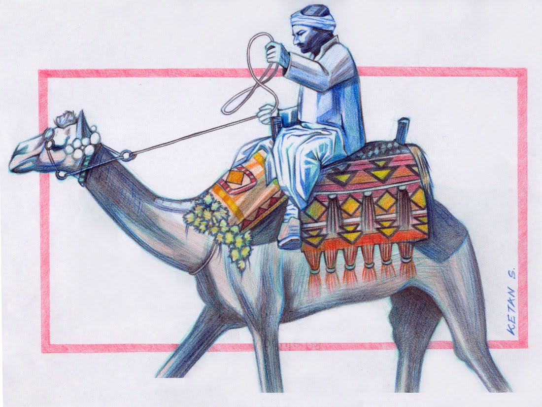 Illustrations: Camel Rider