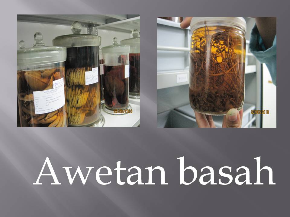 Bio-Is-Logis