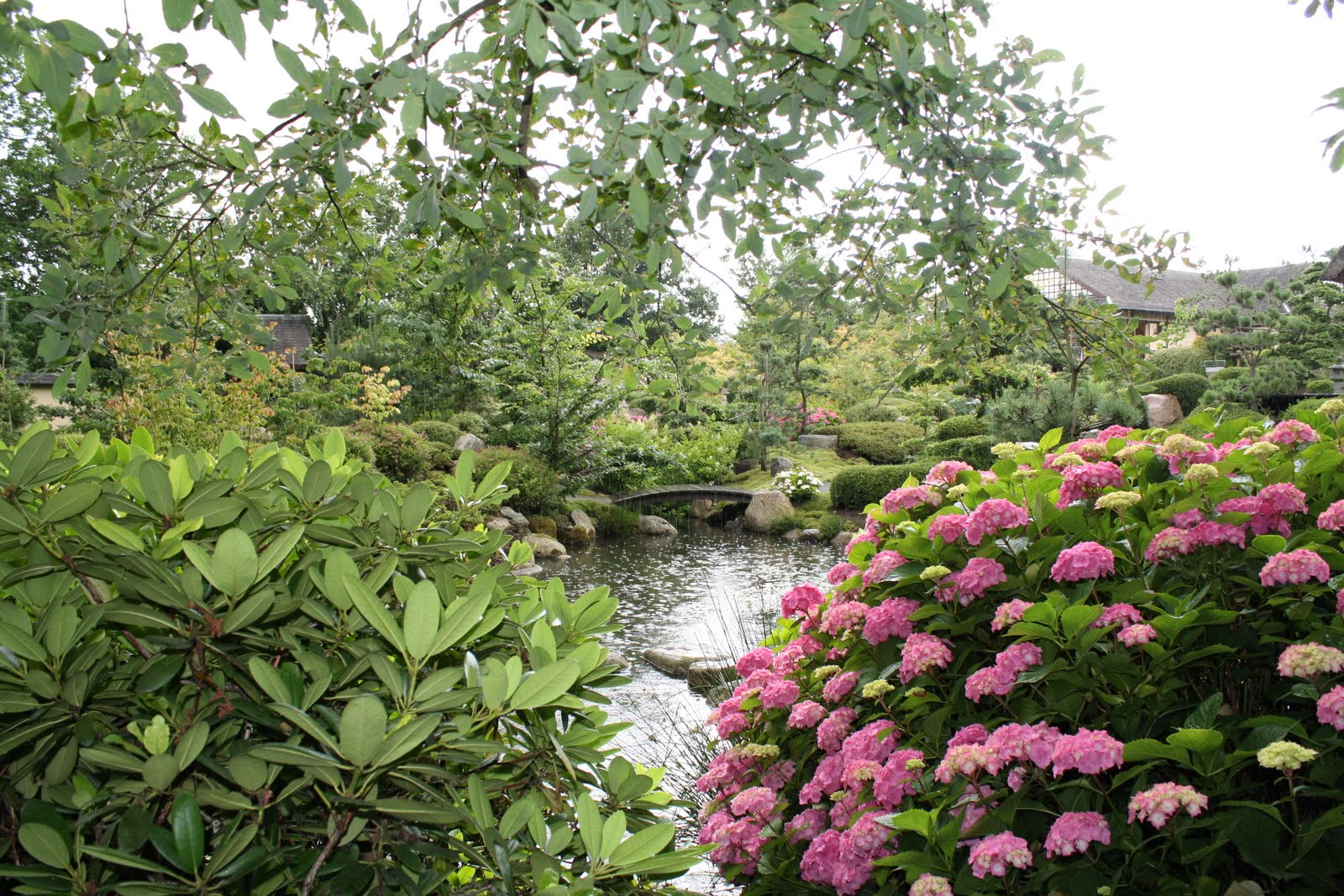 wenches hage og hobby: Japansk hage.