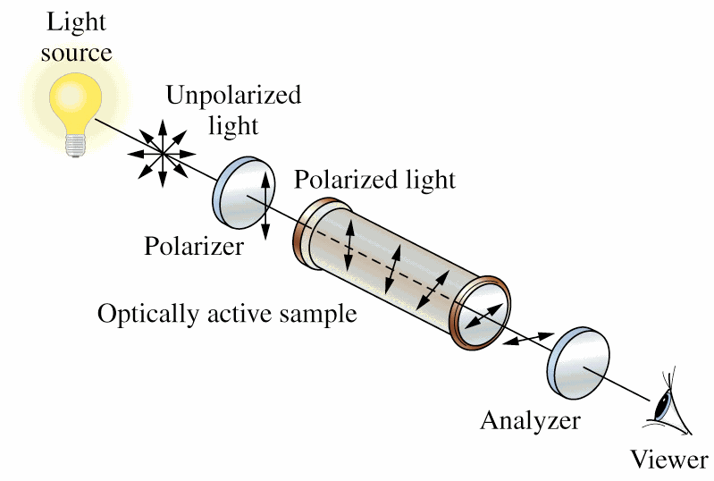 Biologia 2009 - 2011: Polarímetre