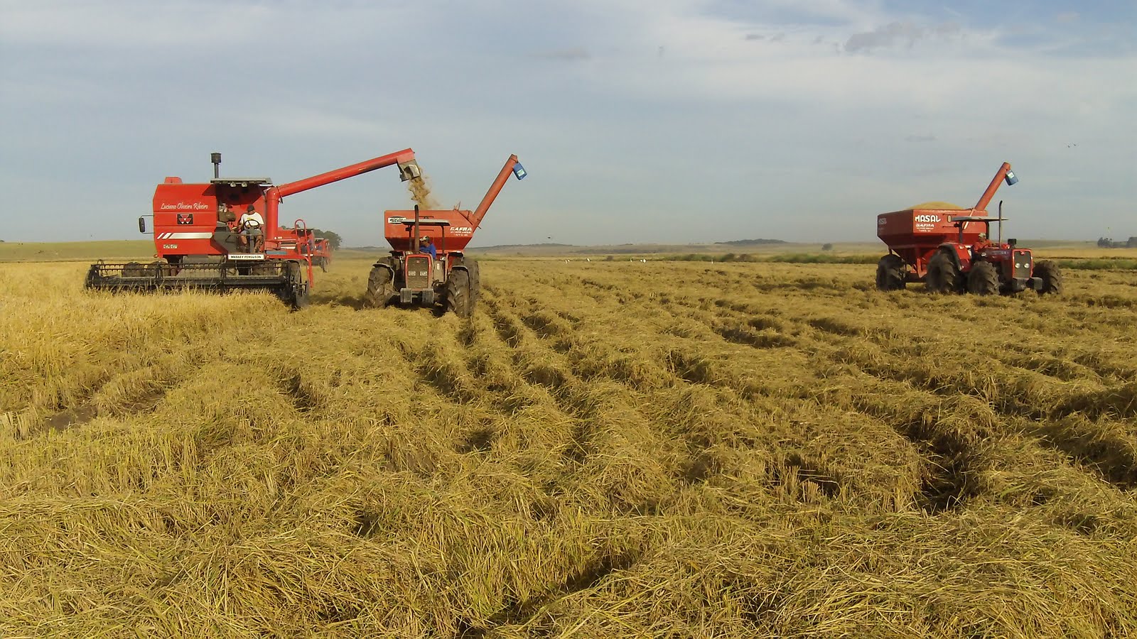 Agriculture: Brazil Agriculture