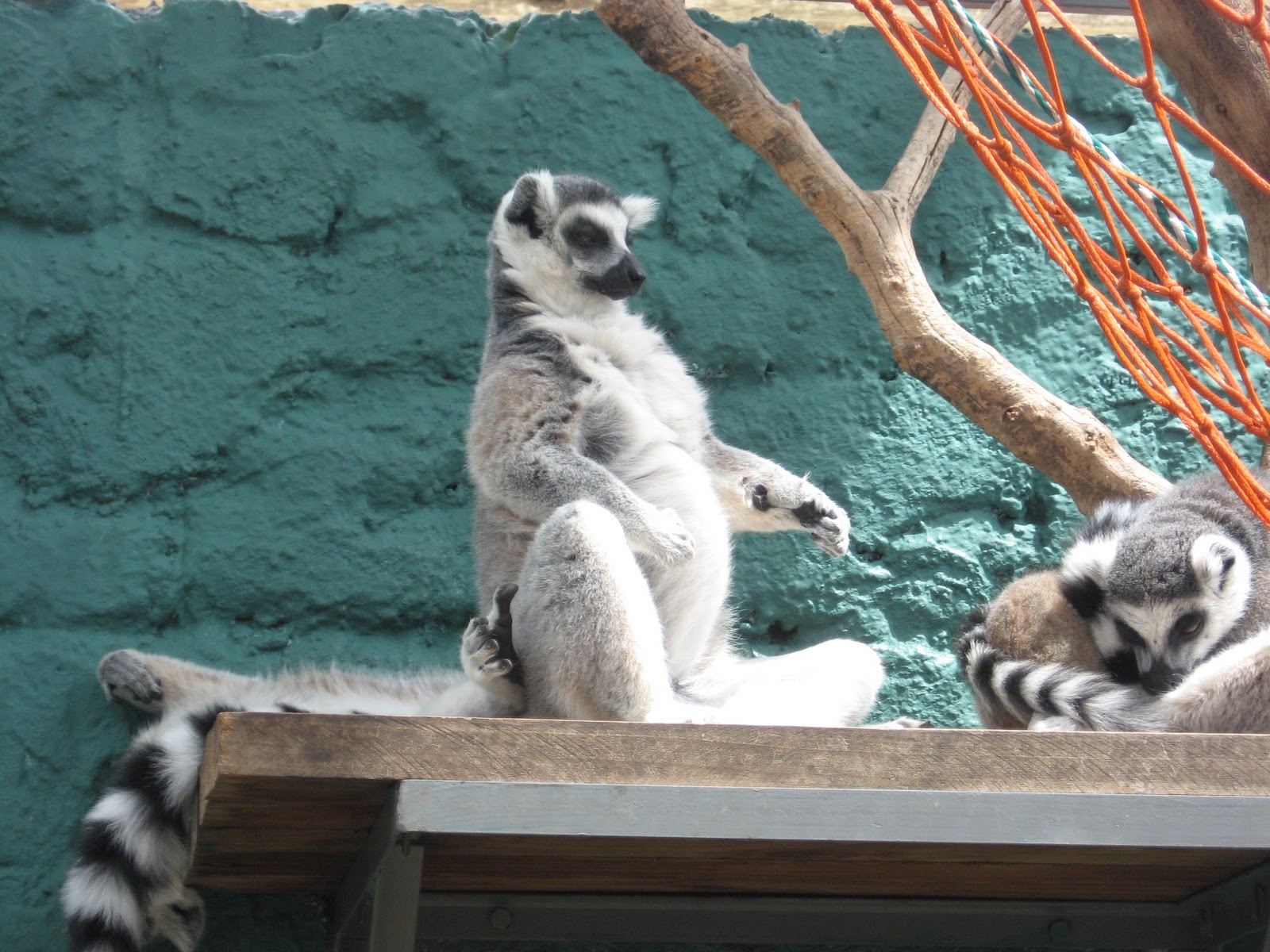 Plebs with Kids: Lory Park Zoo, Midrand (JHB)