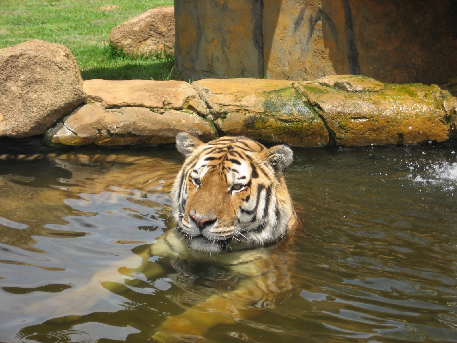 Plebs with Kids: Lory Park Zoo, Midrand (JHB)