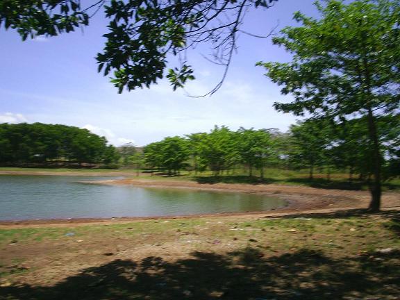 shoestringsmind...: Musuan Peak and Pulanggi River