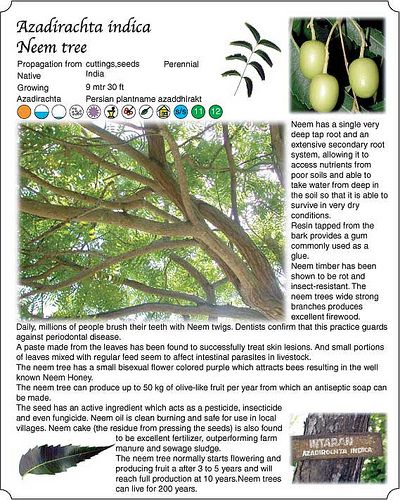 Organic Products Store On Line