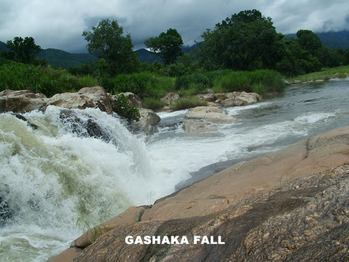 TREASURE NIGERIA MAGAZINE: GASHAKA GUMTI NATIONAL PARK