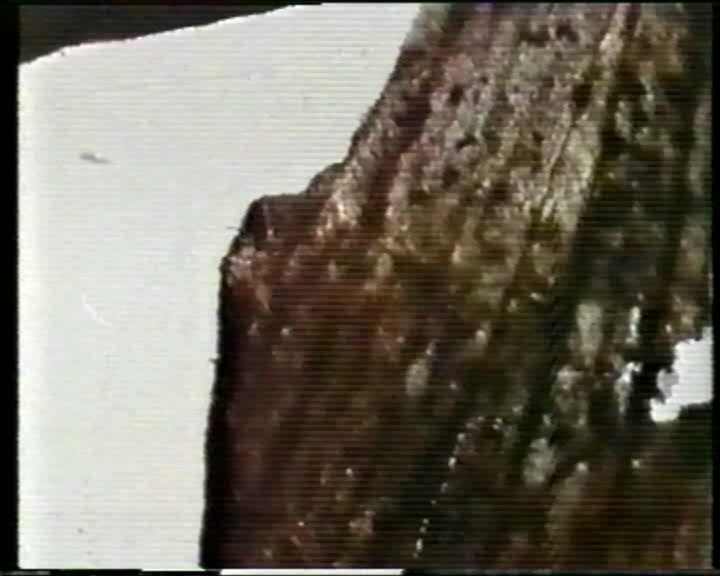 Contra el progreso: Mothlight (1963) Stan Brakhage