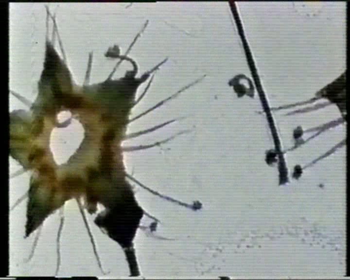 Contra el progreso: Mothlight (1963) Stan Brakhage