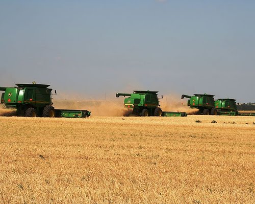 Just One More Thing: Custom Cutting Crews: Cultural Diversity on a Combine