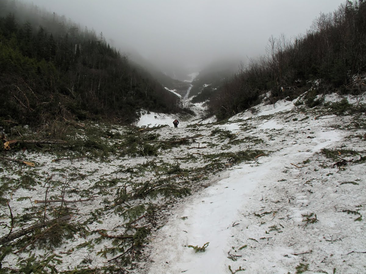 White Mountain Sojourn: 5-14-10 Avalanche Track in Ammonoosuc Ravine