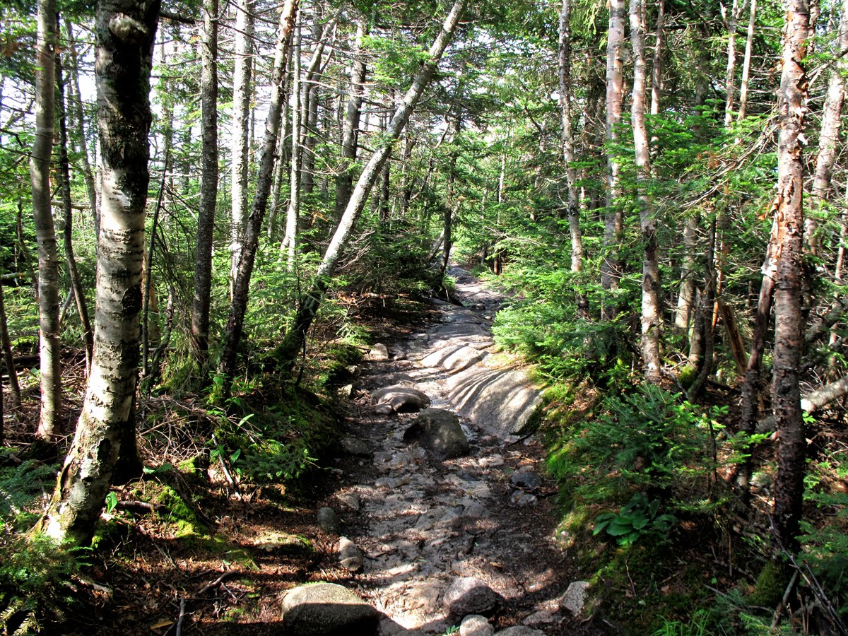 White Mountain Sojourn: 6-18-10 Franconia Ridge